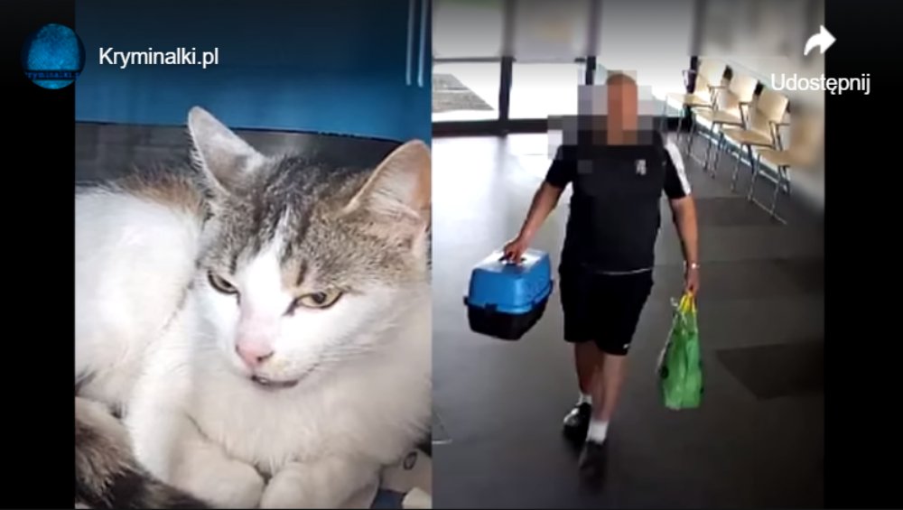Mężczyzna zgłosił się na odsiadkę do więzienia z… kotem - 4FUN.TV